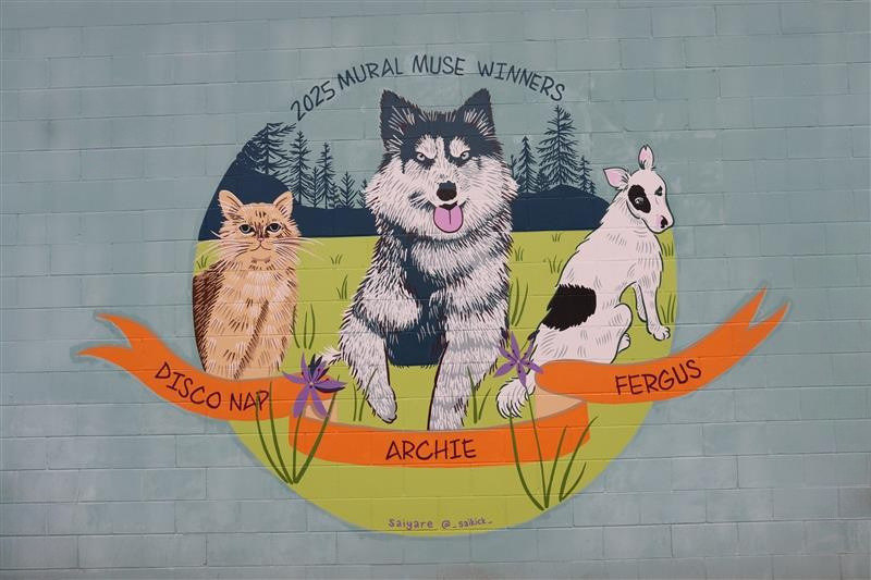 2025 Mural Muse Unveiled! - The Humane Society for Tacoma & Pierce County