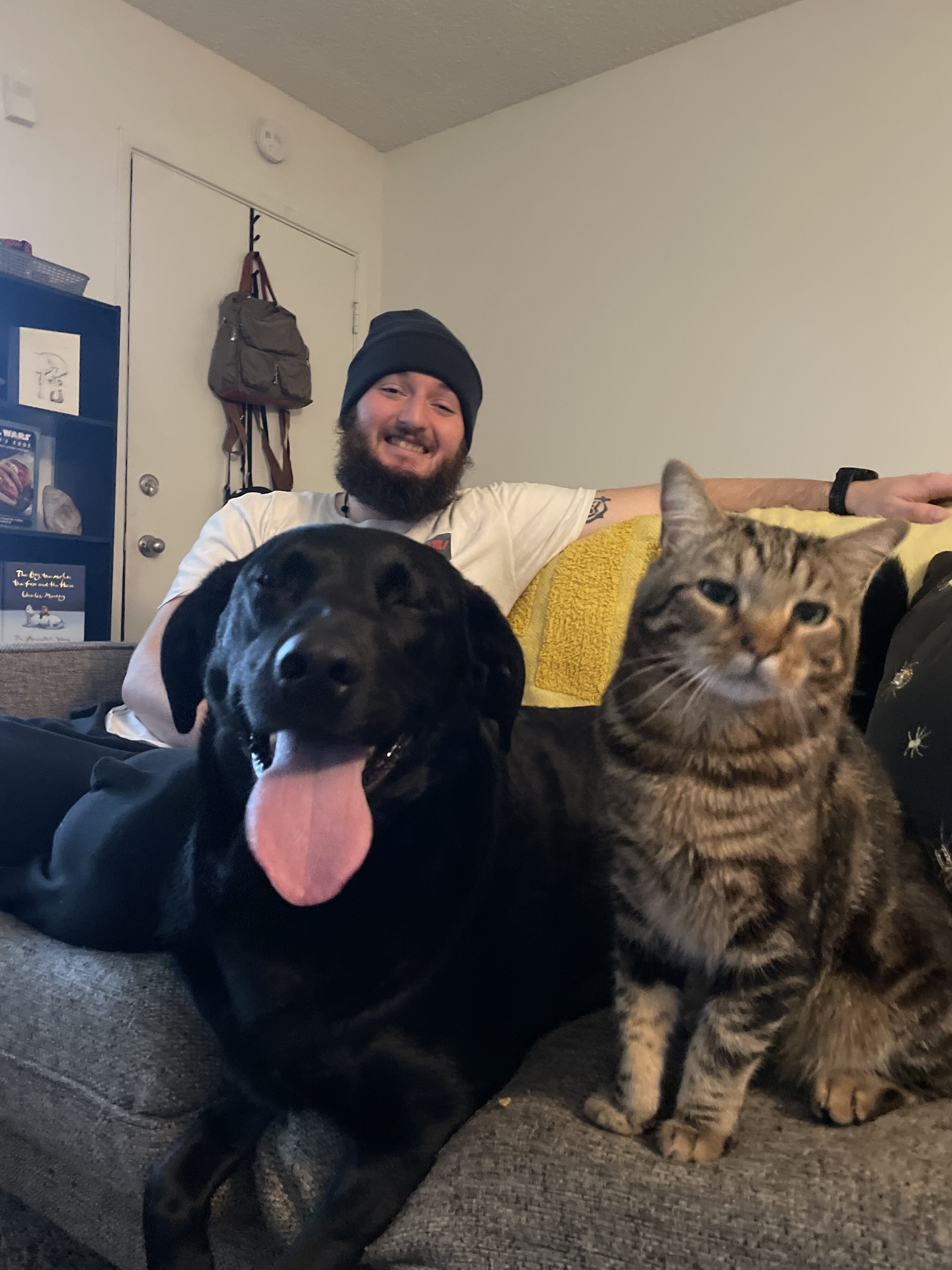 Paws for Veterans: Honoring Veterans and Furry Friends - The Humane ...