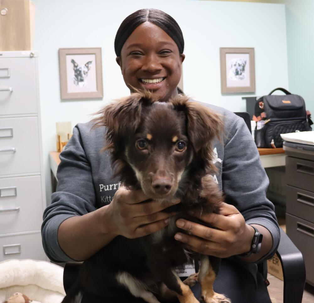 Staff Spotlight: Cherelle Eleby - The Humane Society for Tacoma ...