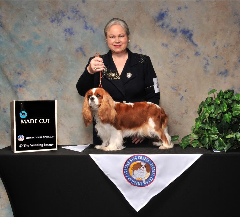Staff Spotlight: Dr. Bennett - The Humane Society for Tacoma & Pierce ...