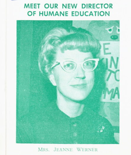 Honoring the Life and Legacy of Jeanne Werner-Spaulding – A Trailblazer ...
